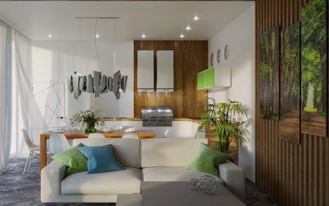 Eco-Style Living Room Design Ideas and 70+ Photos of the interiors