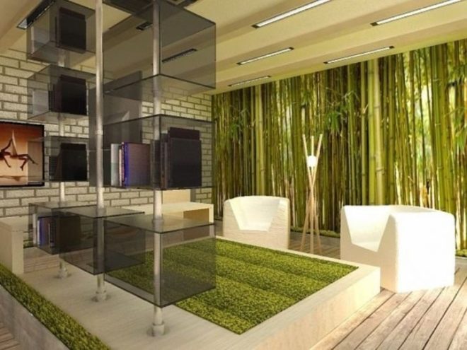 Eco-Style Living Room Design Ideas and 70+ Photos of the interiors