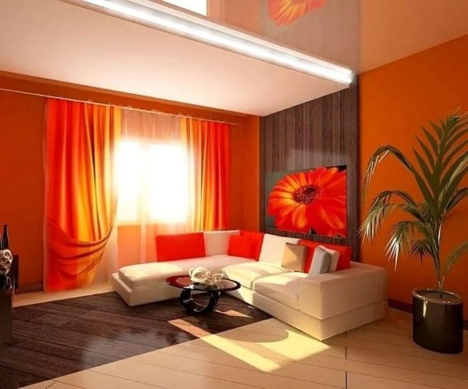 300 Orange Living Room Interior Design Ideas